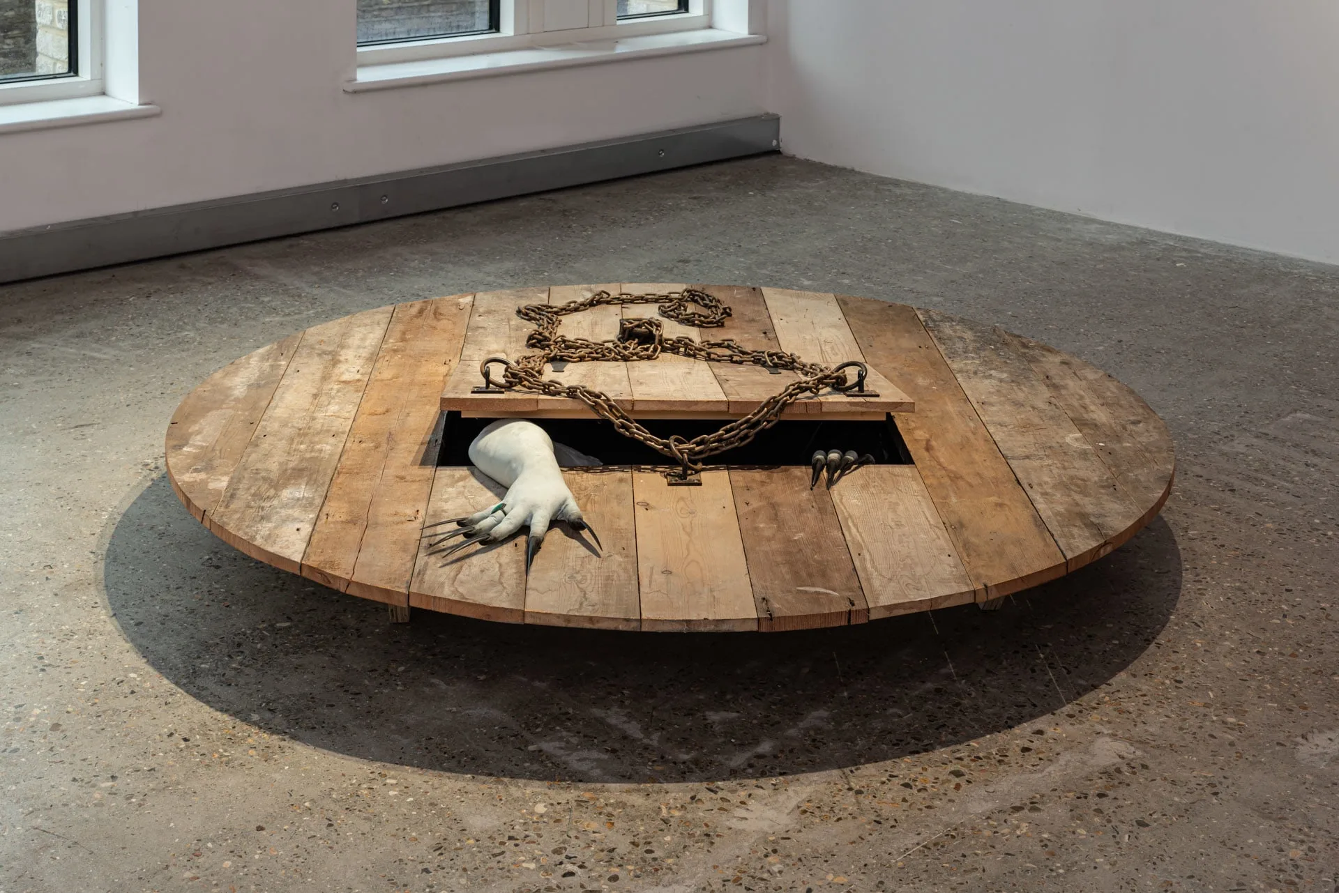 Unleashing Female Sexuality & Confronting Desire Through Lydia Pettit's ...